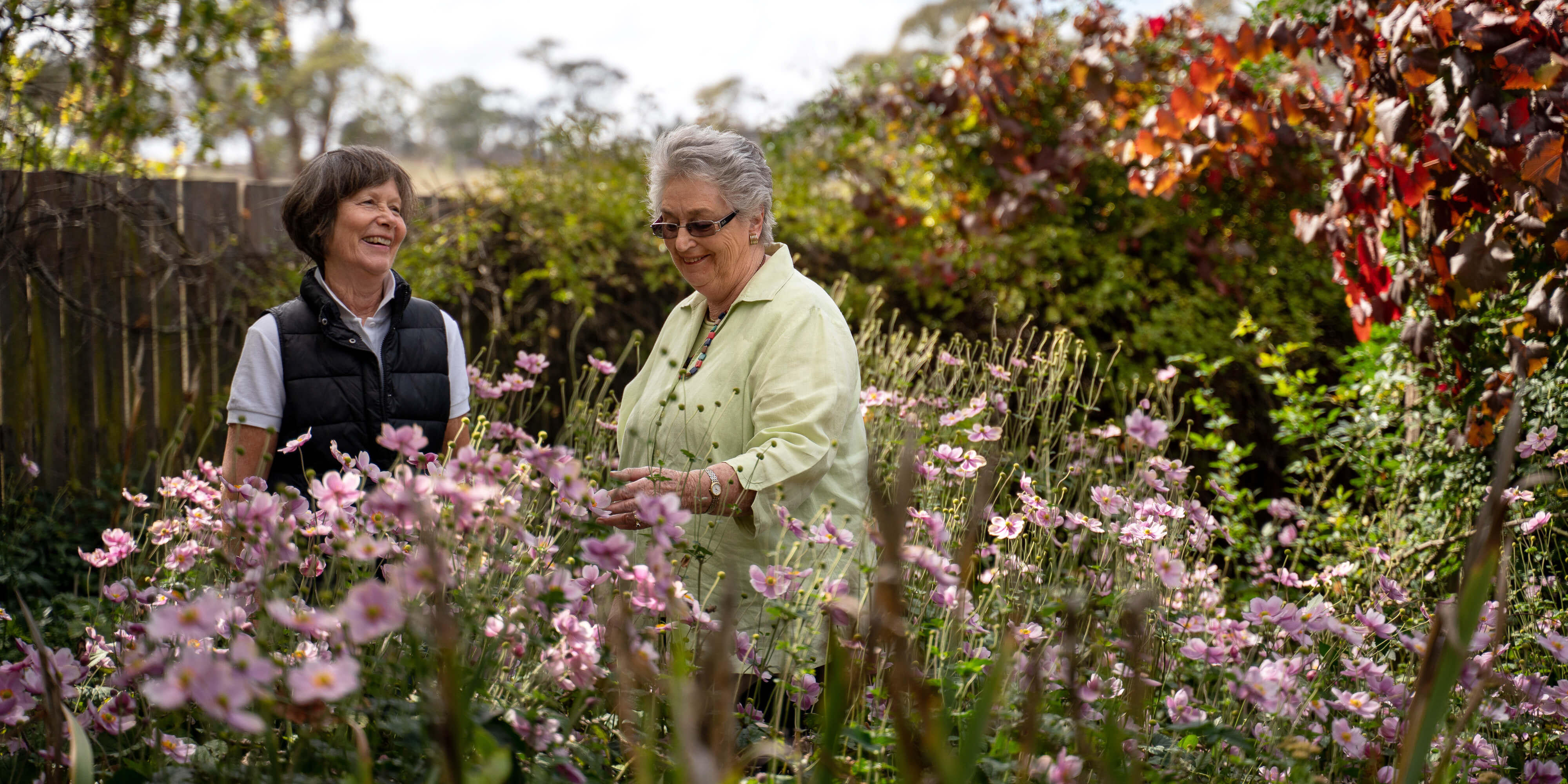 NSW community groups and climate change | AdaptNSW